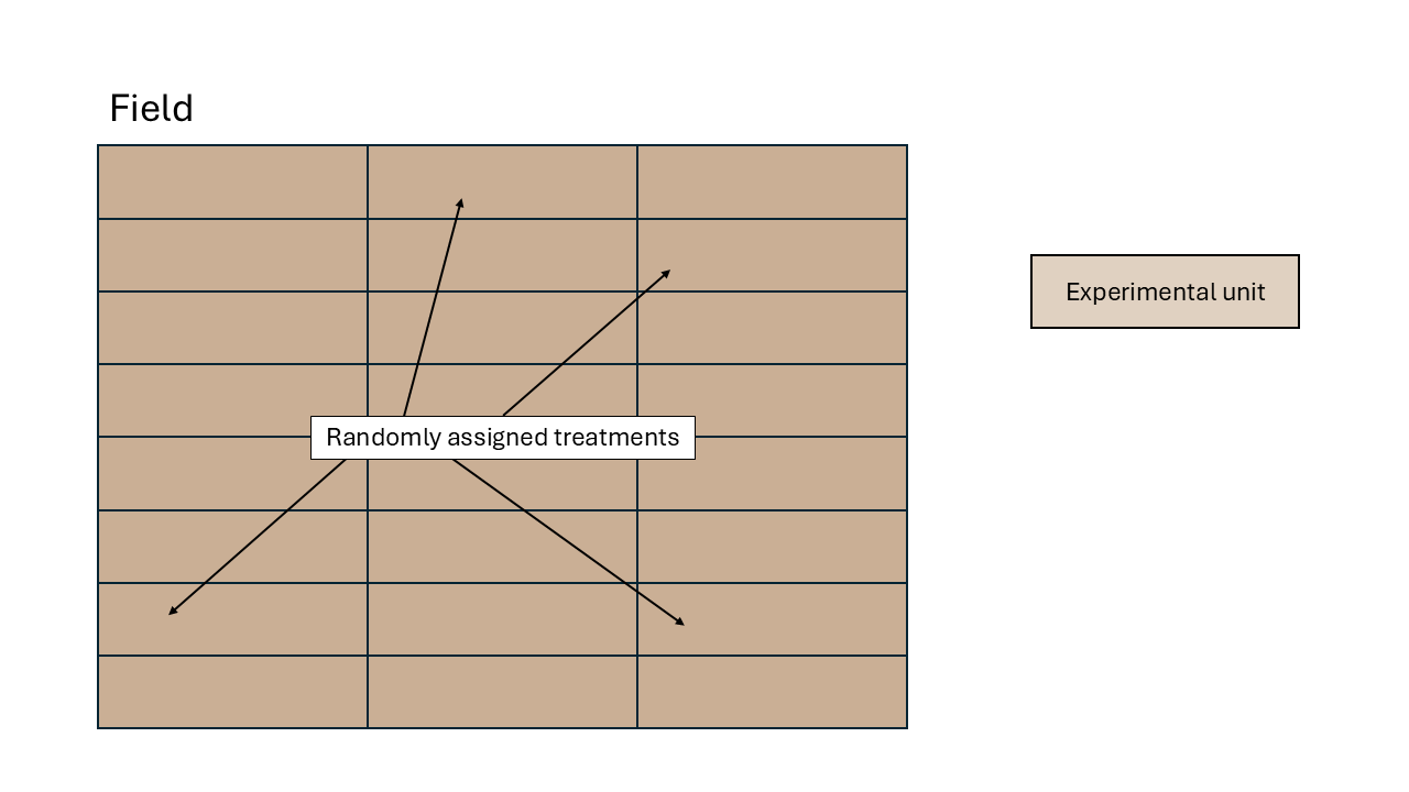 Day 3 Designed Experiments Review | STAT 870 - Analysis of Messy Data